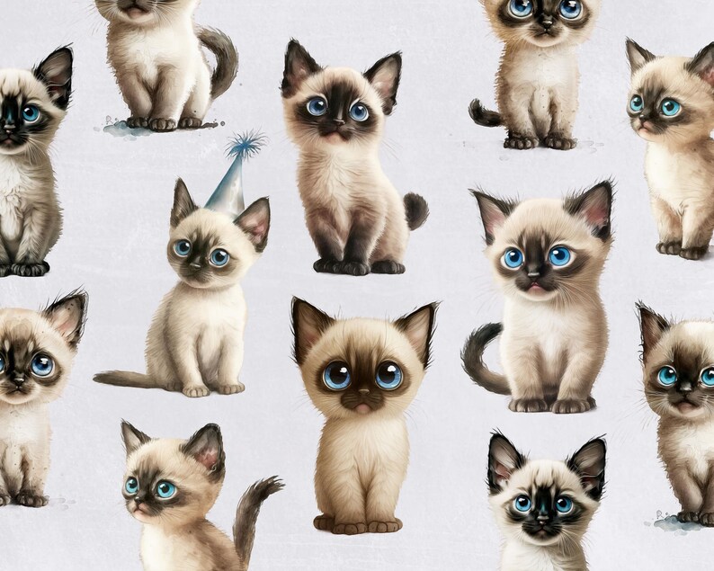 Siamese Kittens Clipart Pack, Clip Art for Commercial Use, Transparent ...