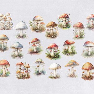 Watercolor Toadstools Png Clipart, Magical Enchanted Forest Mushrooms ...
