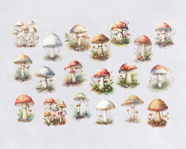 Watercolor Toadstools Png Clipart, Magical Enchanted Forest Mushrooms ...