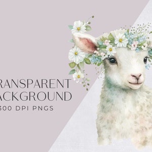 Watercolor Spring Lamb Clipart Pack, Clipart for Commercial Use ...
