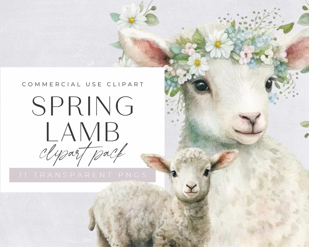 Watercolor Spring Lamb Clipart Pack, Clipart for Commercial Use ...