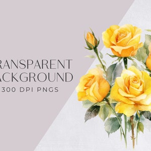 Yellow Roses Clipart Pack, Watercolor Rose, Summer Floral Bouquet for ...