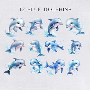 Cute Dolphin Clipart, Baby Sea Animal Clip Art, Watercolor Ocean ...