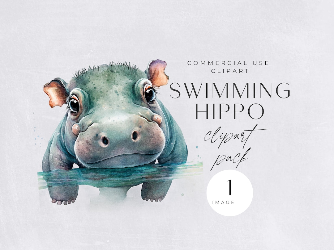 Baby Hippo Clipart | SINGLE IMAGE | Commercial Use, Transparent Pngs ...