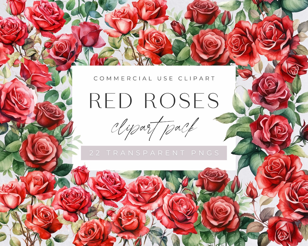 Red Rose Watercolor Clipart, Floral Bouquet Clip Art, Valentines Day ...