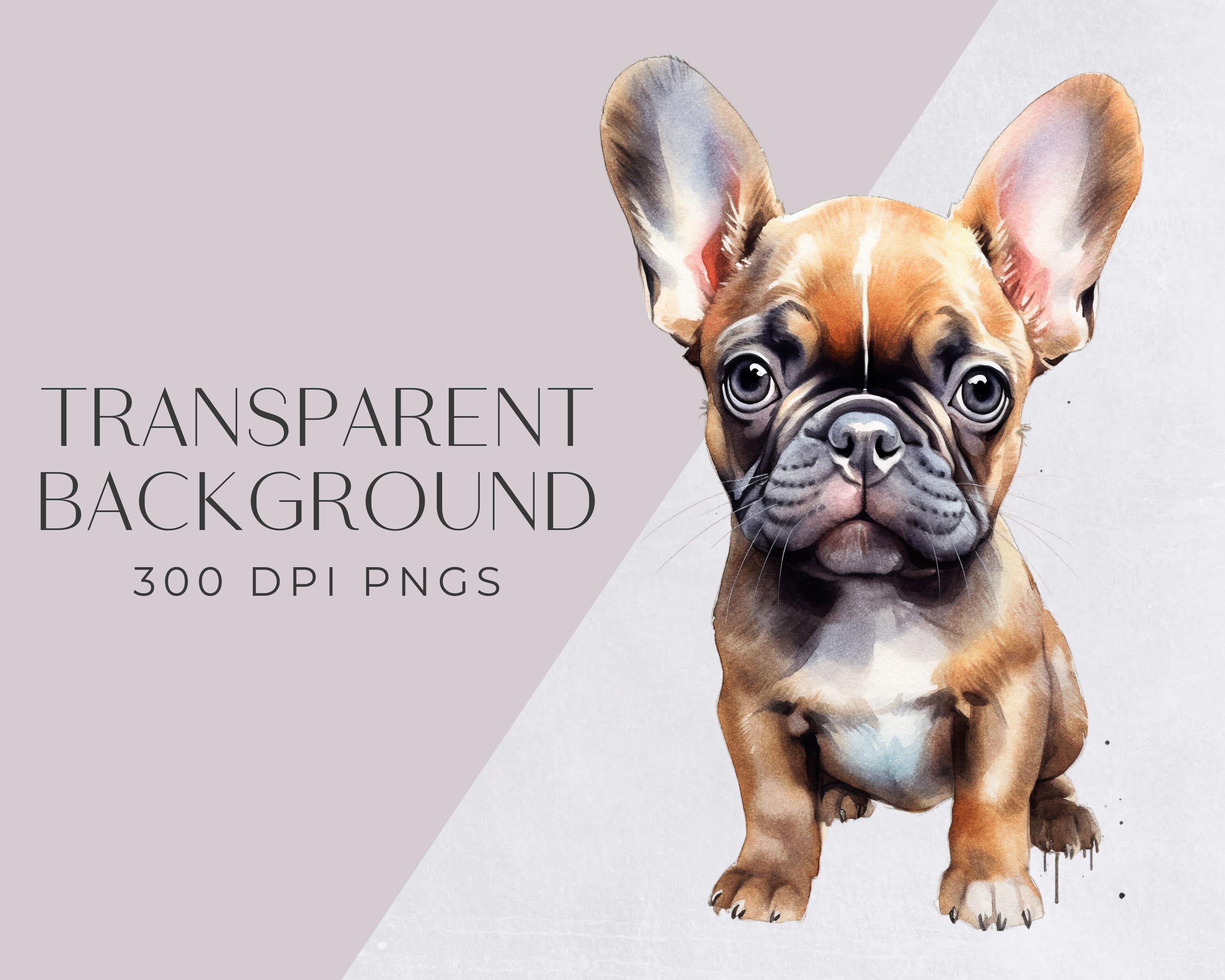 French Bulldog Clipart, Cute Frenchie Bull Dog, Watercolor Puppy for ...
