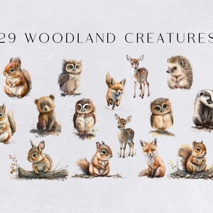 Woodland Animals Clipart Watercolor, Clipart for Commercial Use ...