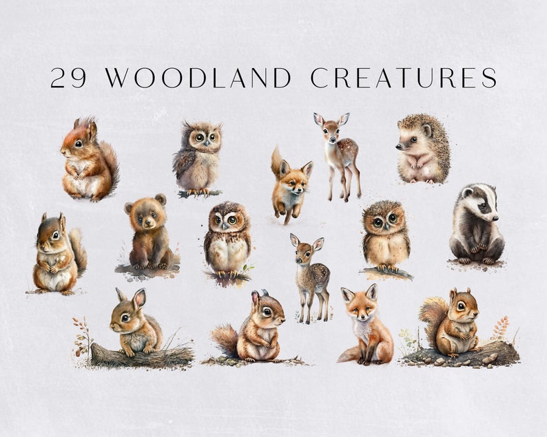 Woodland Animals Clipart Watercolor, Clipart for Commercial Use ...