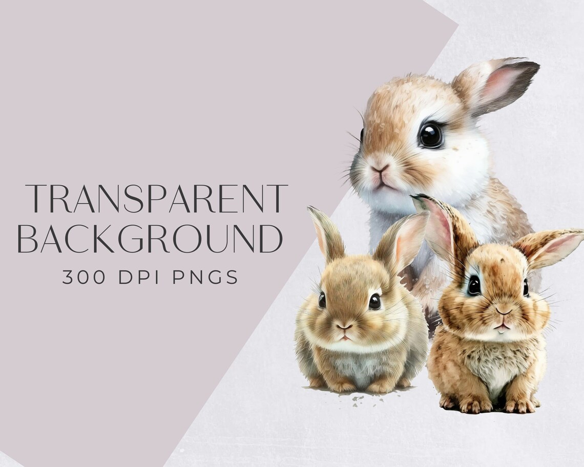 Watercolor Baby Bunnies Clipart Pack Clipart for Commercial - Etsy UK