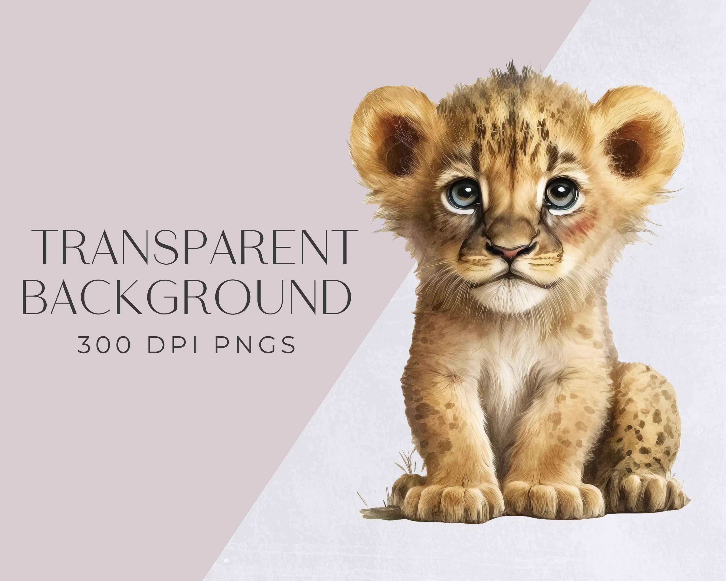 Baby Lion Watercolor Clipart Cute Clip Art for Commercial - Etsy UK