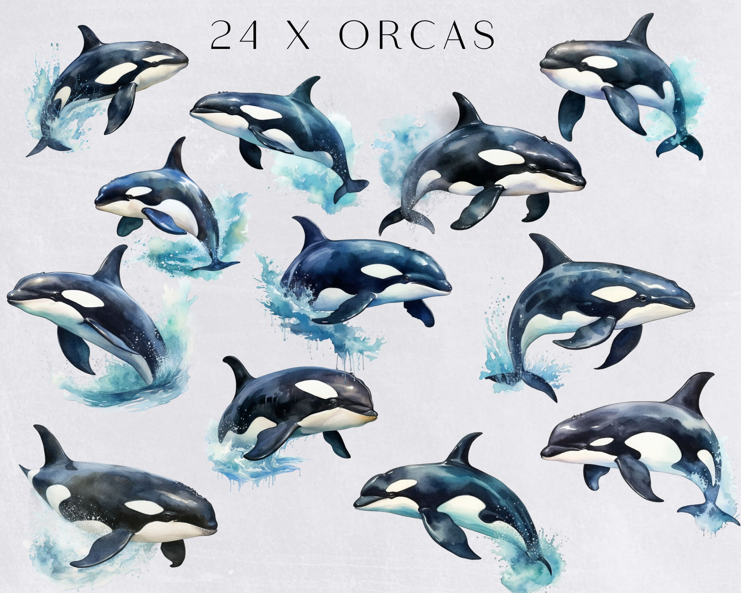 Orca Whale Clipart, Killer Whale, Marine Mammals, Big Fish, Ocean Life ...