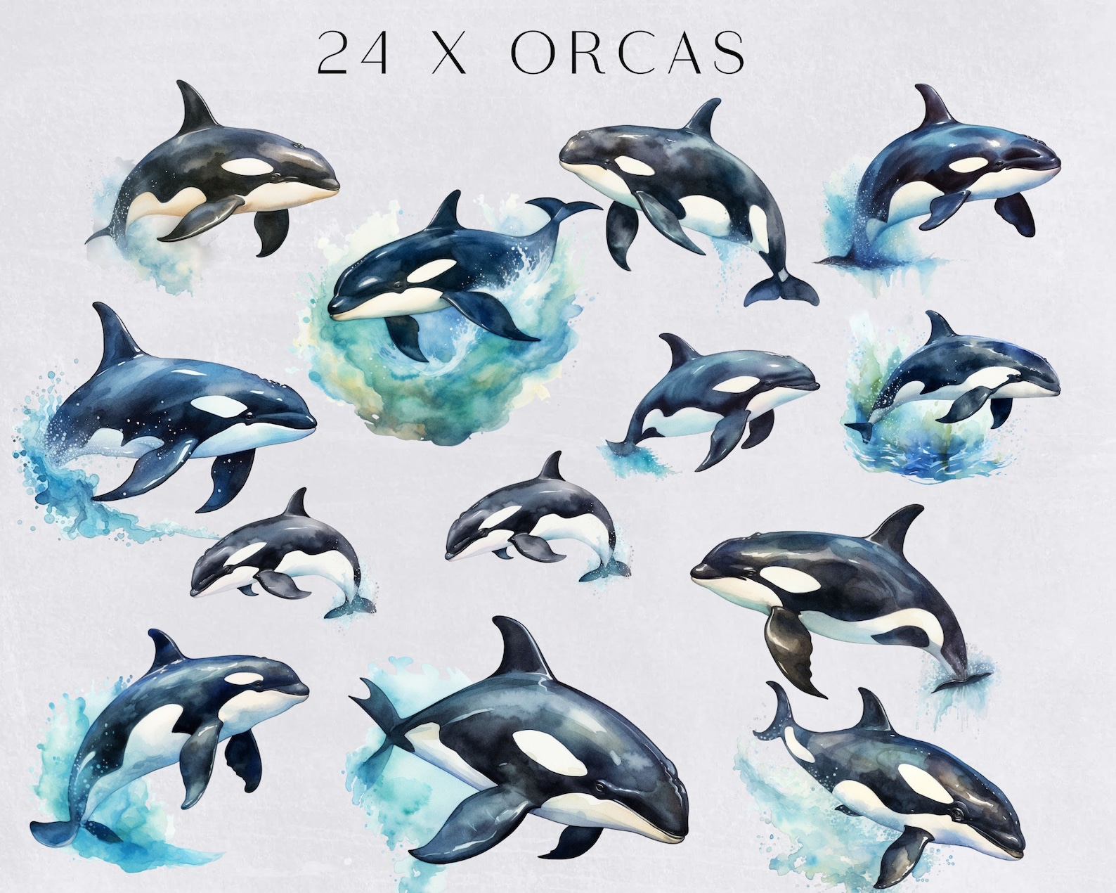 Orca Whale Clipart, Killer Whale, Marine Mammals, Big Fish, Ocean Life ...