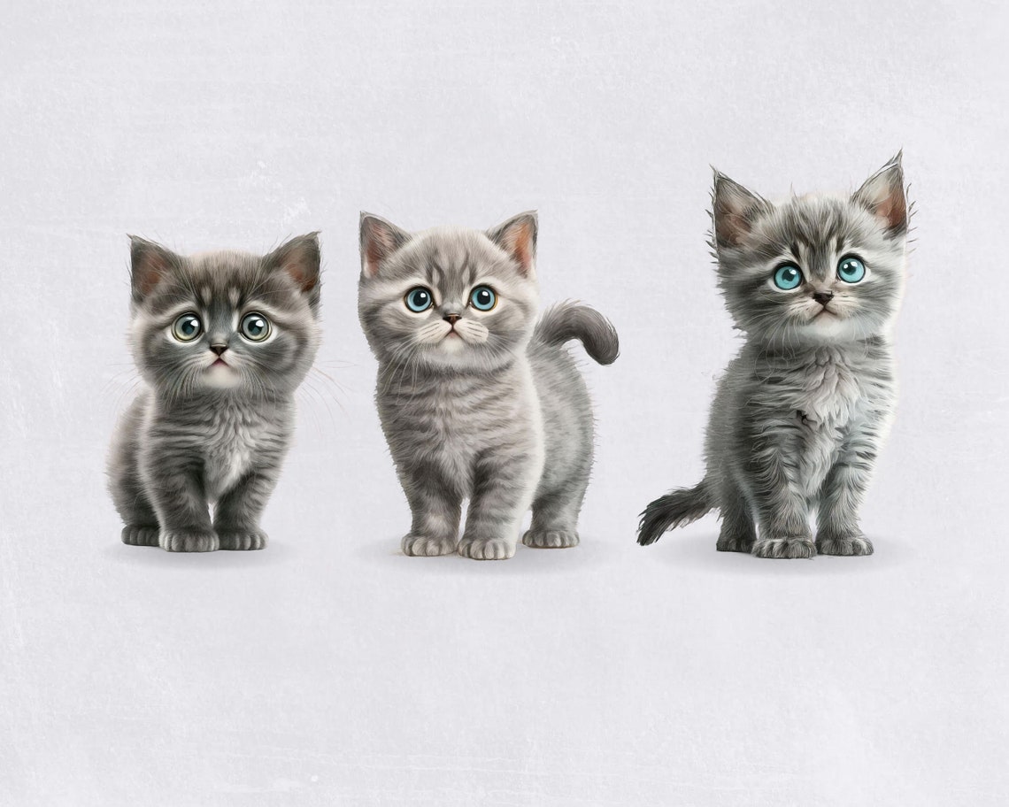 Grey Kittens Clipart Pack, Clip Art for Commercial Use, Transparent ...