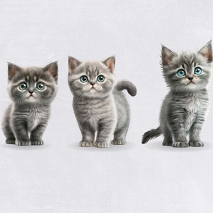 Grey Kittens Clipart Pack, Clip Art for Commercial Use, Transparent ...