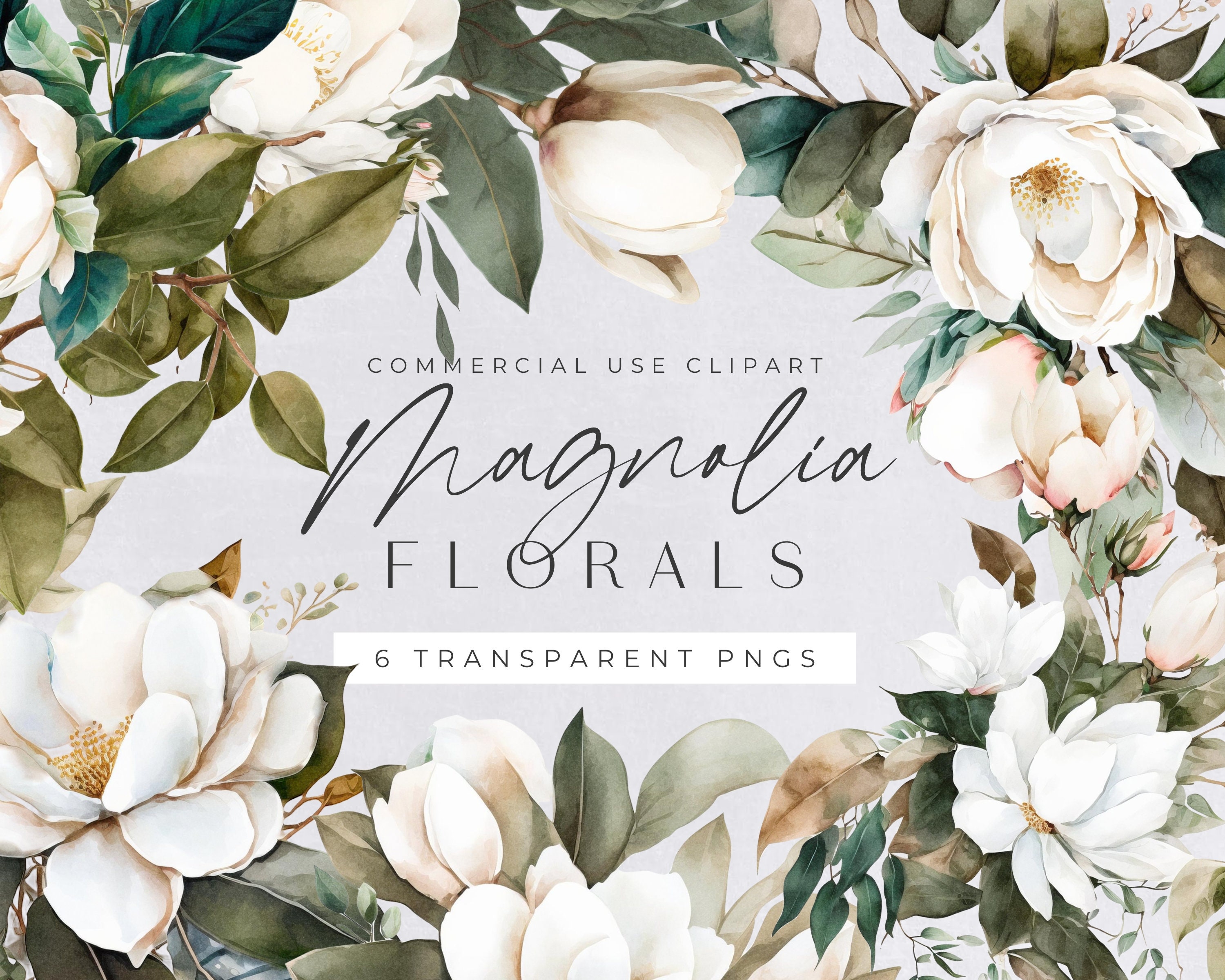 Magnolia Flower Clipart
