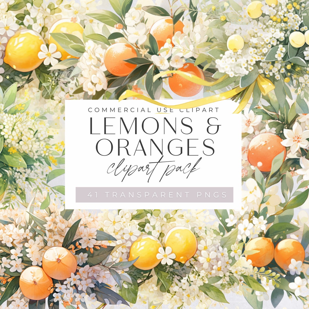 Lemon Bundle Clipart Png, Watercolor Oranges, Summer Citrus Fruits Clip ...