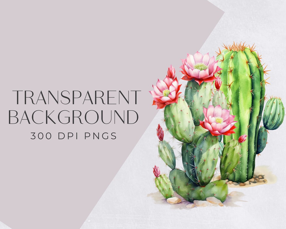 Cactus Clipart Bundle, Desert Cacti Png, Watercolor Succulent ...