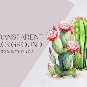 Cactus Clipart Bundle, Desert Cacti Png, Watercolor Succulent ...