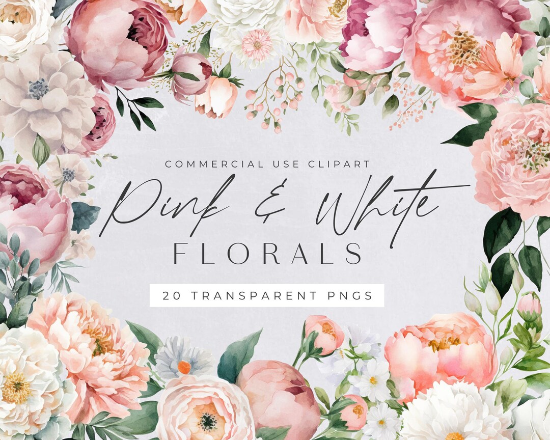 Pink and White Floral Watercolor Clipart Pack for Commercial Use, Blush ...