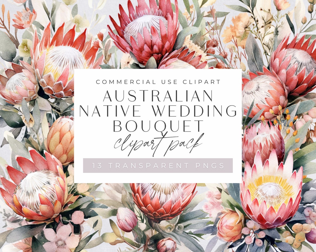Australian Native Wedding Bouquet Clipart, Watercolor Flowers, Pink ...