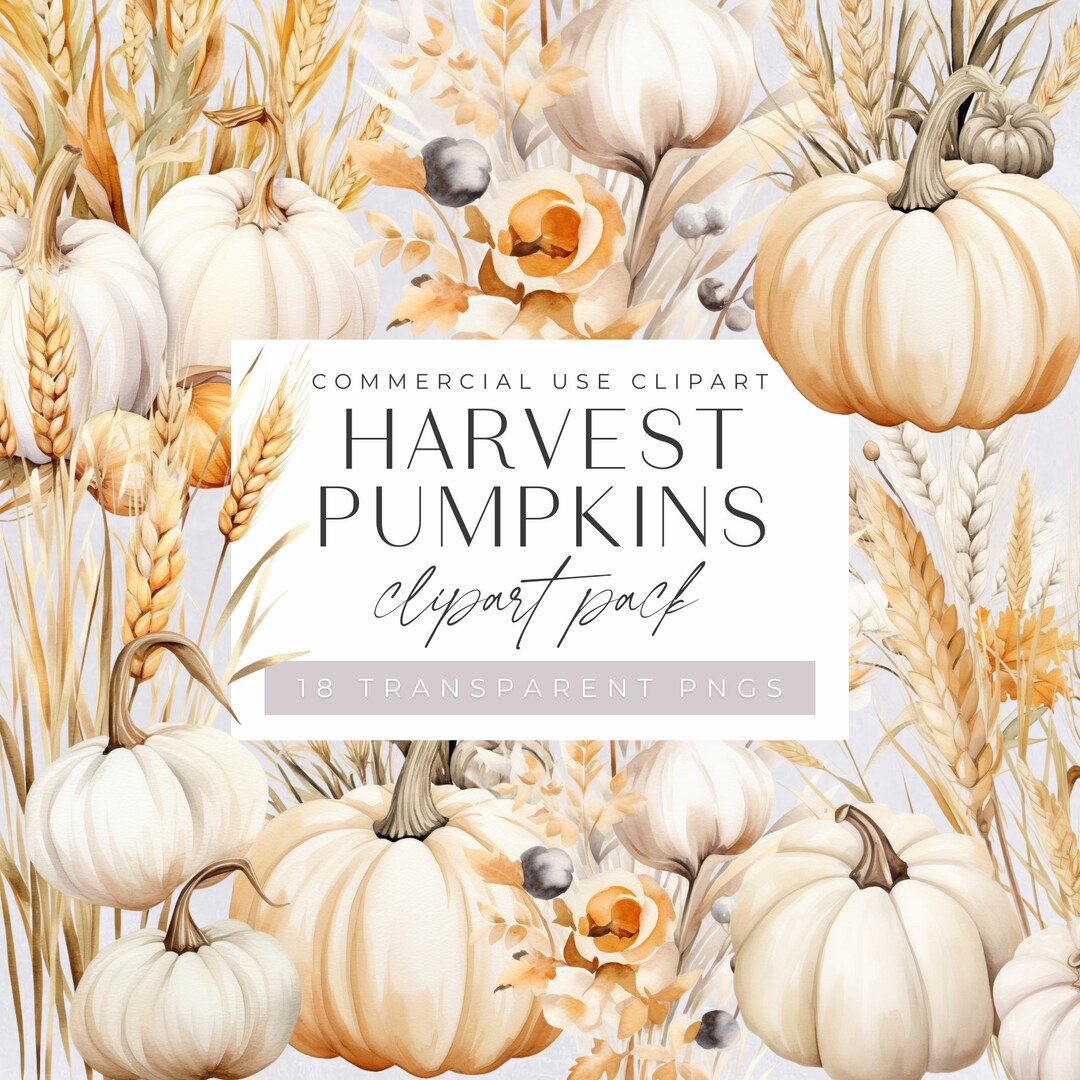 White Floral Pumpkin Clipart, Autumn Harvest Fall Thanksgiving Clipart ...