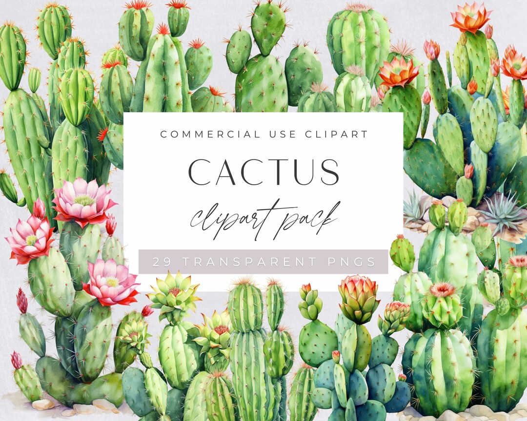 Cactus Clipart Bundle, Desert Cacti Png, Watercolor Succulent ...