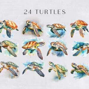 Sea Turtle Clipart Pack, Ocean Animals Png, Tortoise Svg, Sea Creature ...