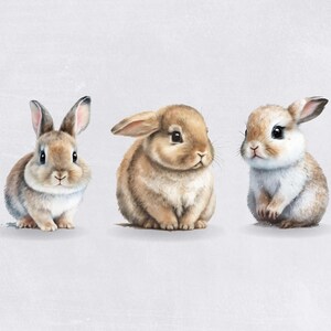 Watercolor Baby Bunnies Clipart Pack, Clipart for Commercial Use ...