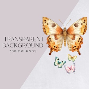 Boho Butterfly Clipart, Watercolor Abstract Butterflies Clip Art Bundle ...