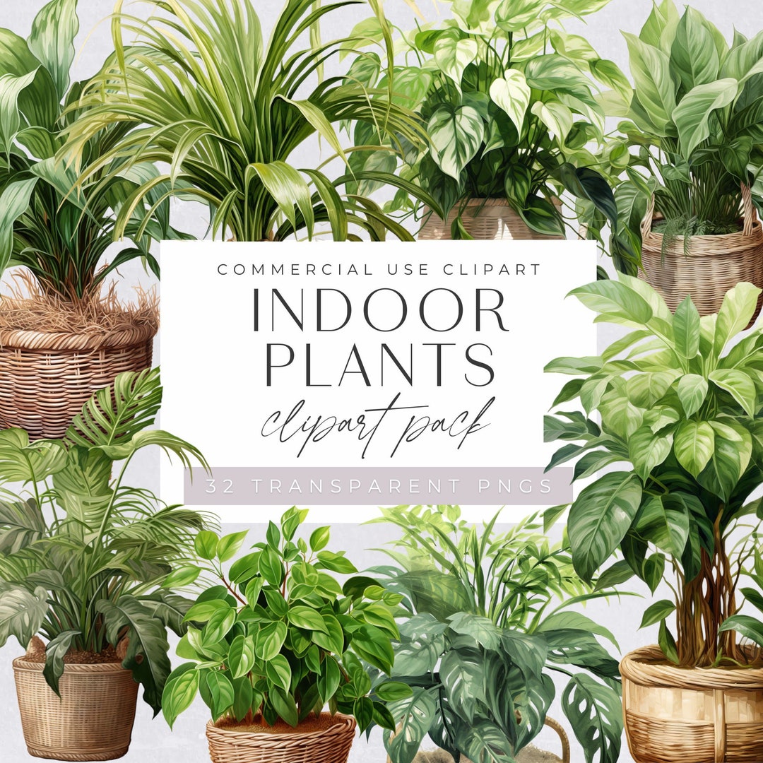 Potted Plants Watercolor Clipart, House Plant Lovers, Indoor Gardening ...