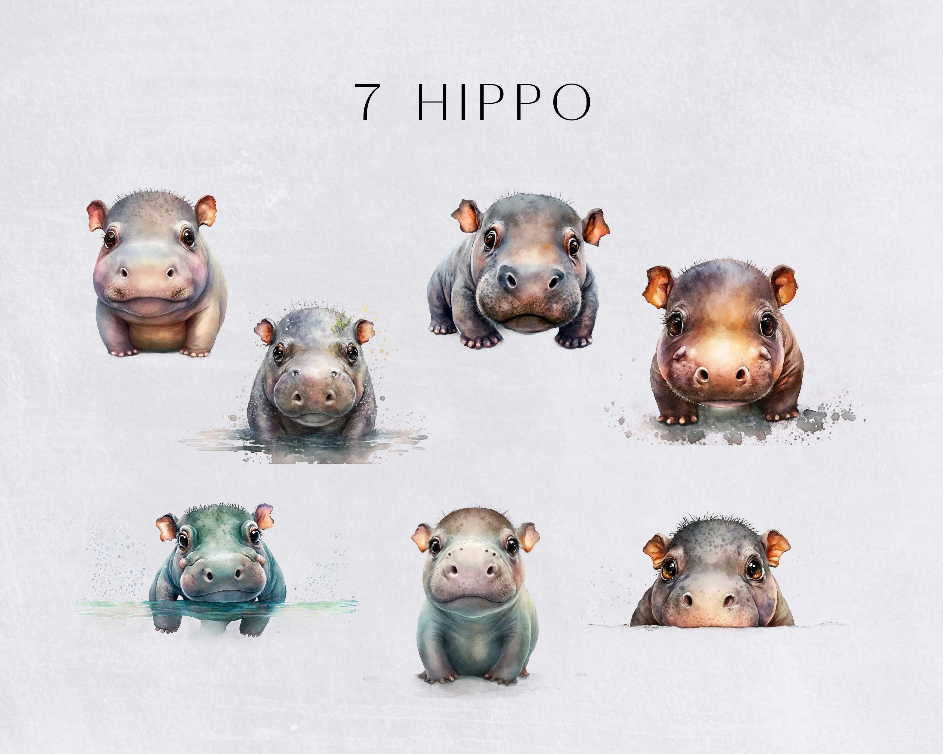 Hippo Clipart Watercolor, Hippopotamus Clipart for Commercial Use, Cute ...