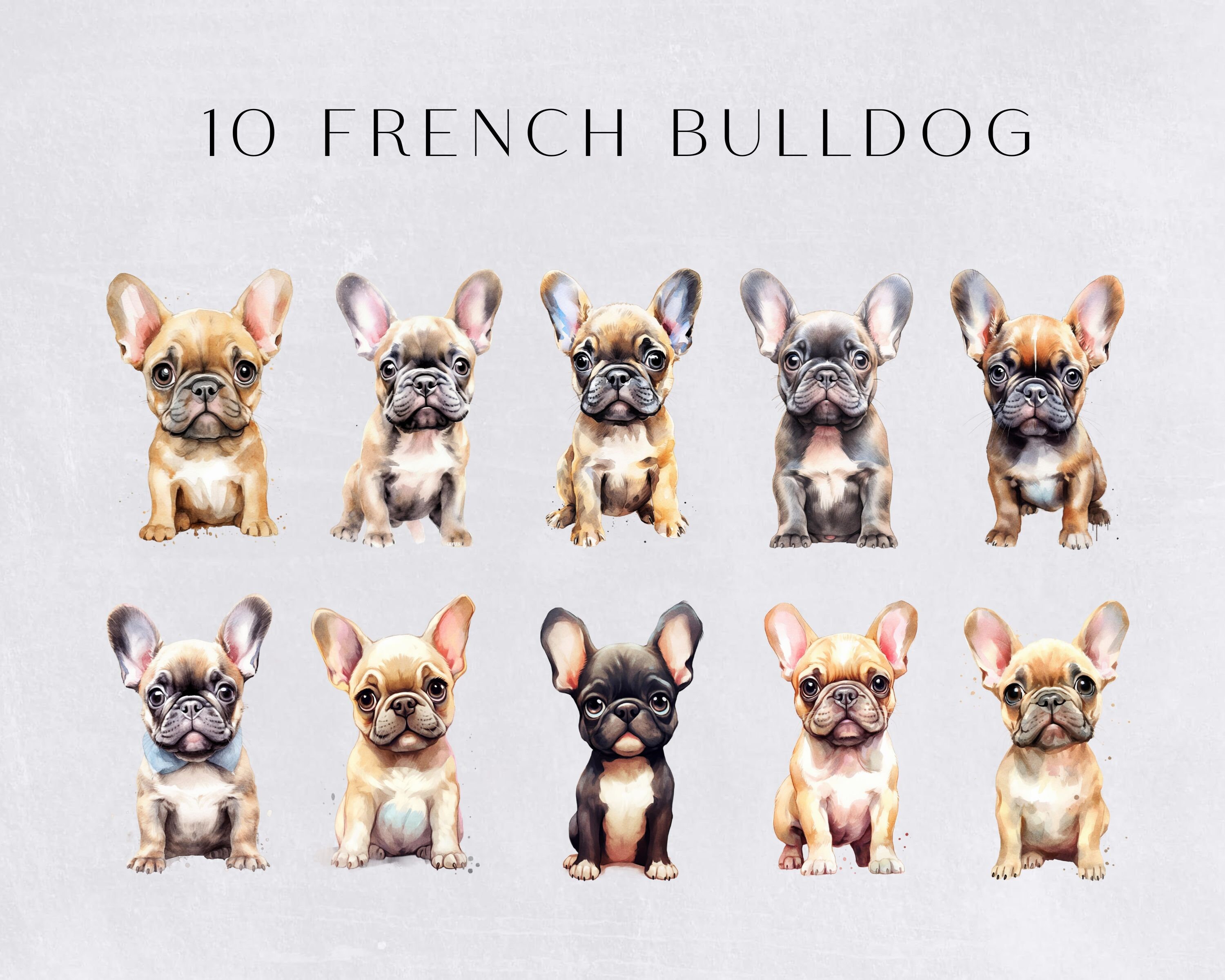 French Bulldog Clipart, Cute Frenchie Bull Dog, Watercolor Puppy for ...