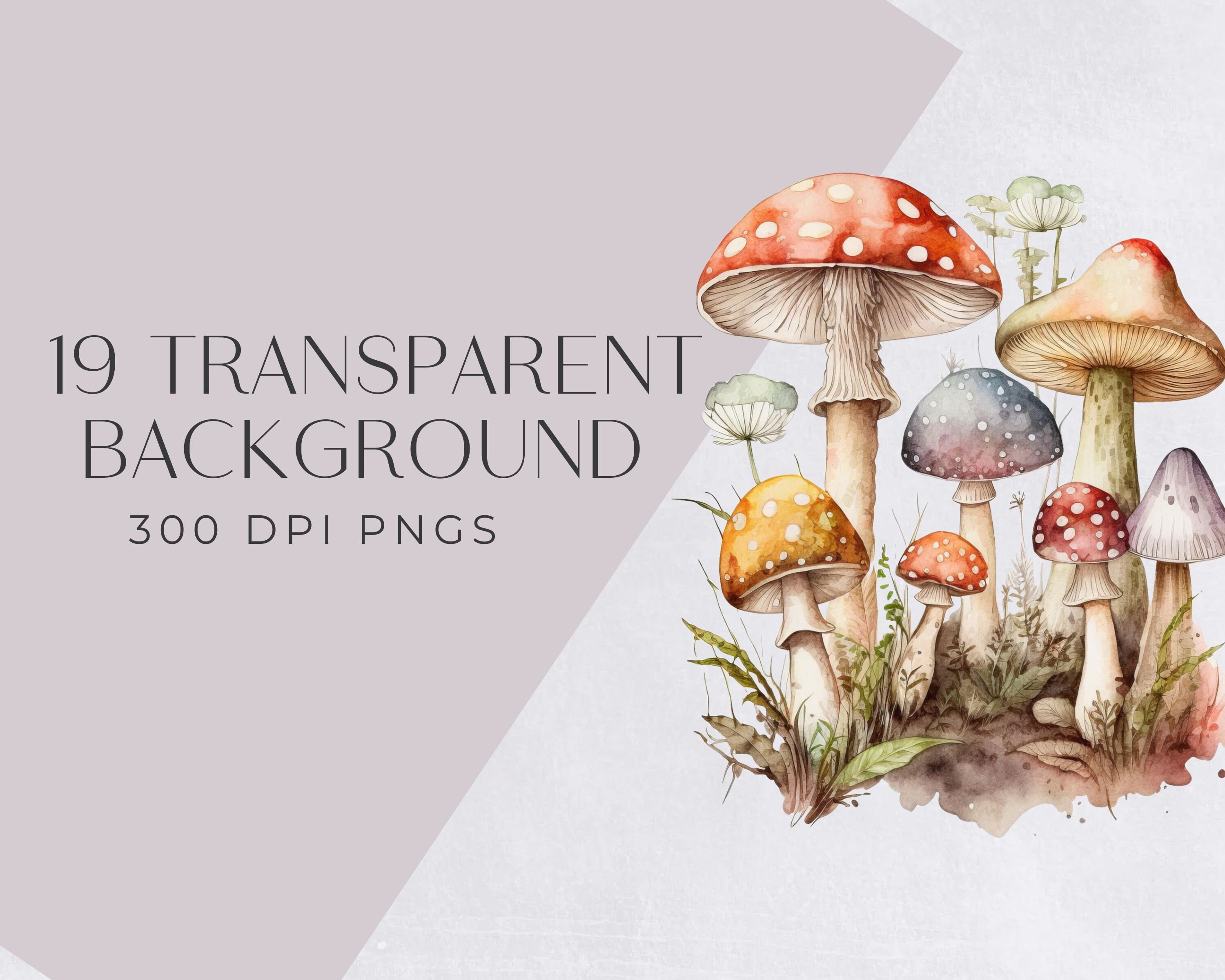Watercolor Toadstools Png Clipart, Magical Enchanted Forest Mushrooms ...