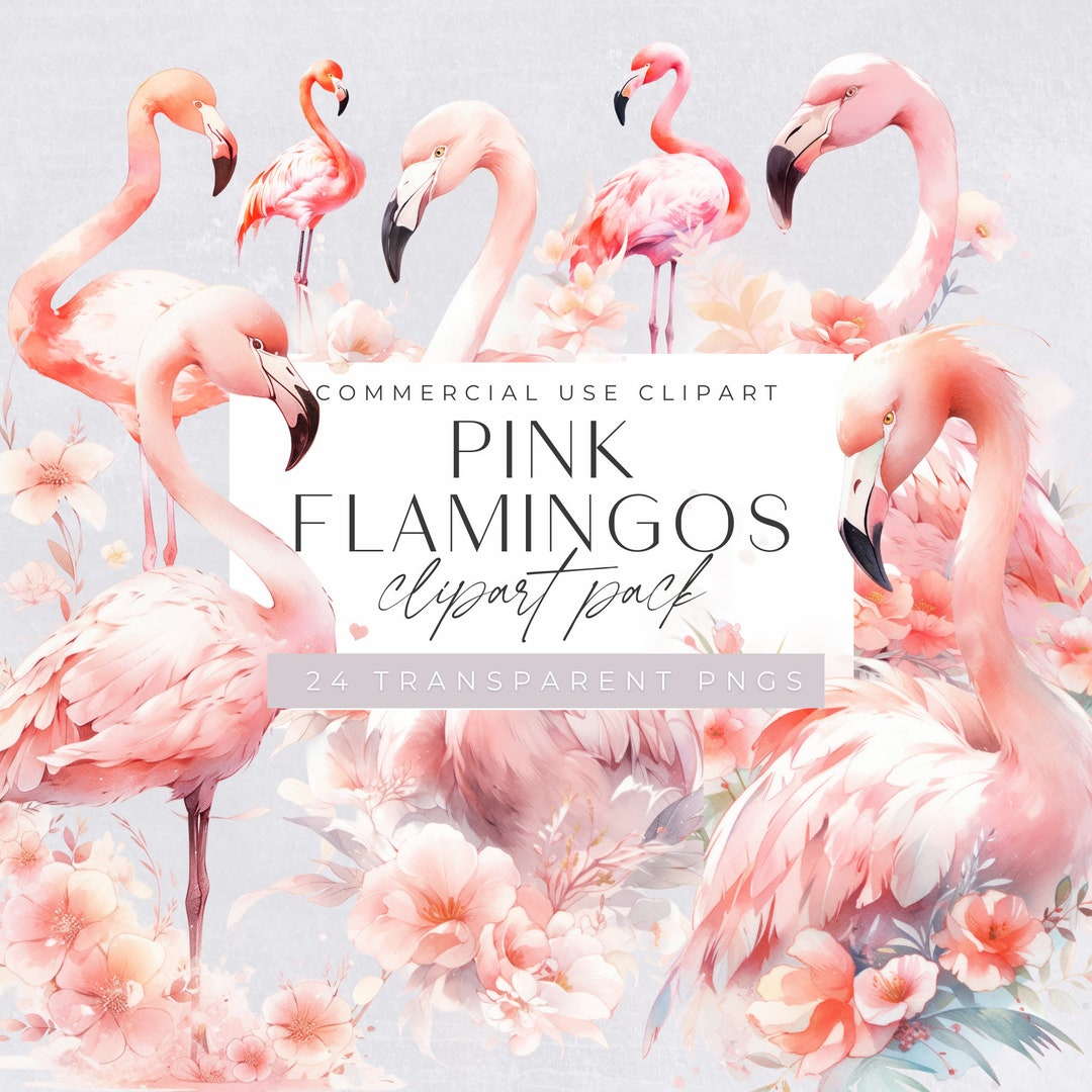 Flamingo Clipart Commercial Use, Pink Flamingos, Watercolor Tropical ...