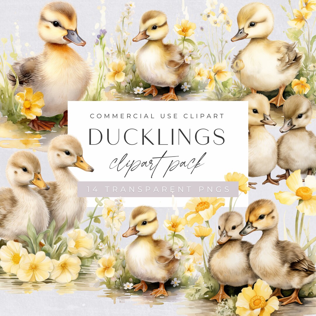 Ducklings Clipart, Cute Yellow Baby Duck Graphics, Watercolor Nursery ...