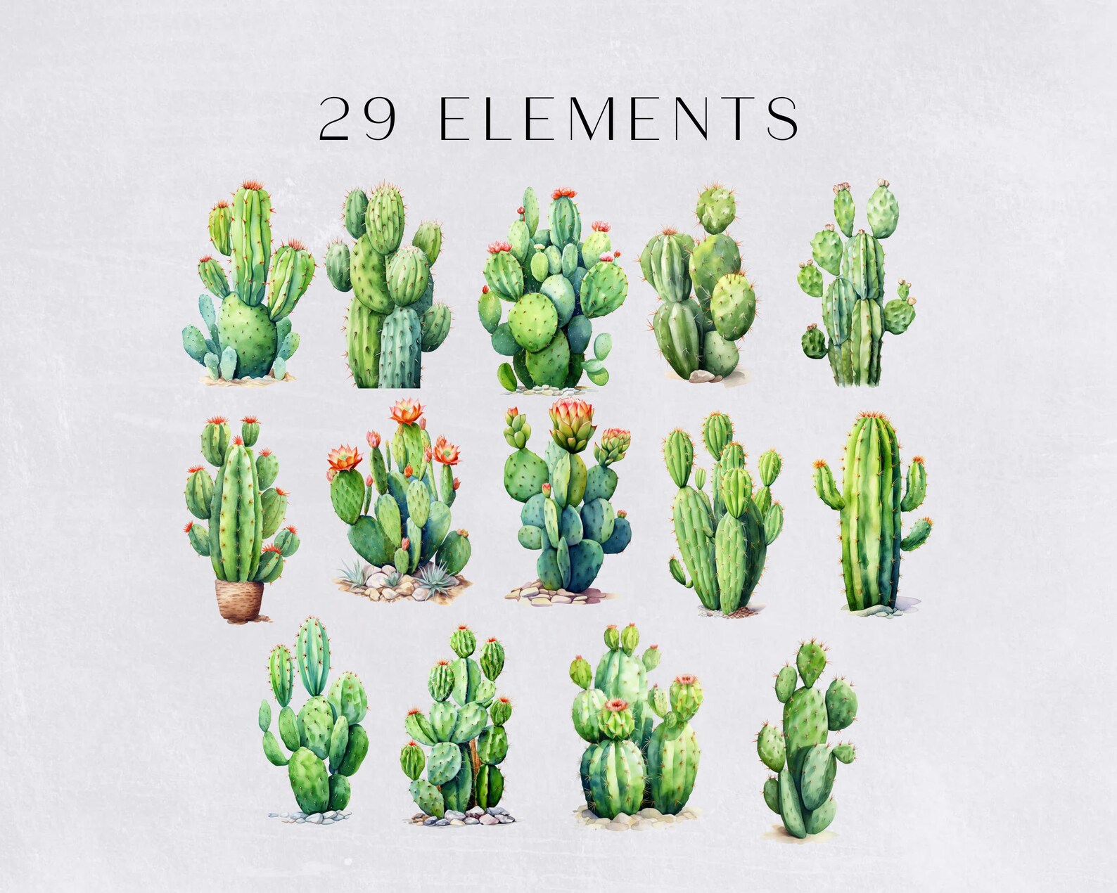 Cactus Clipart Bundle, Desert Cacti Png, Watercolor Succulent ...