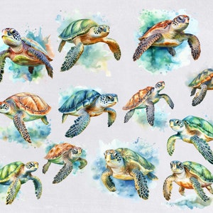 Sea Turtle Clipart Pack, Ocean Animals Png, Tortoise Svg, Sea Creature ...