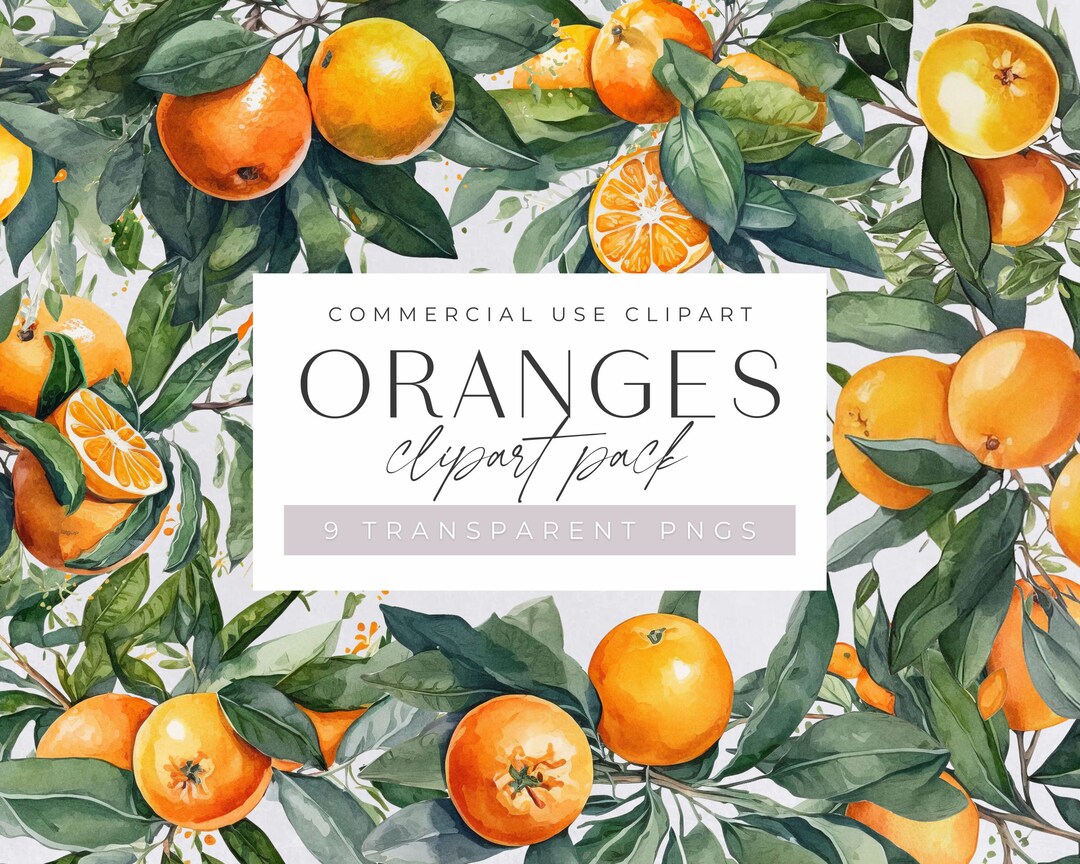 Watercolor Oranges Clipart , Tropical Summer Clip Art for Commercial ...
