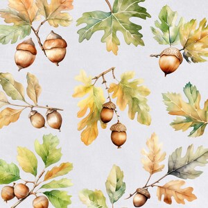 Acorns Clipart Bundle, Squirrel, Watercolor Oak Leaf, Fall Leaves ...