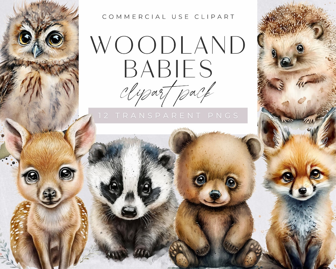 Watercolor Baby Woodland Animals Clipart Pack, Clipart for Commercial ...