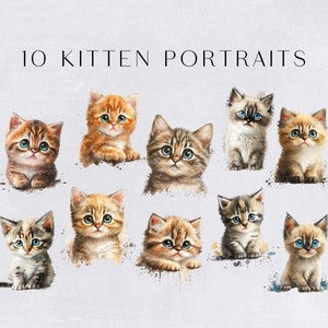 Kittens Portraits Clipart Pack, Clip Art for Commercial Use ...