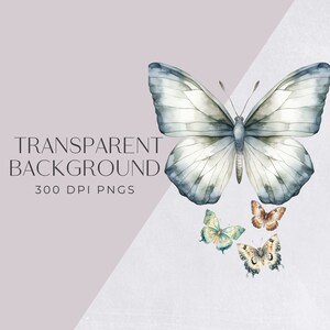 Boho Butterfly Clipart, Watercolor Abstract Butterflies Clip Art Bundle ...