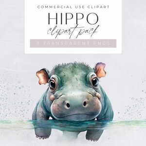 Hippo Clipart Watercolor, Hippopotamus Clipart for Commercial Use, Cute ...