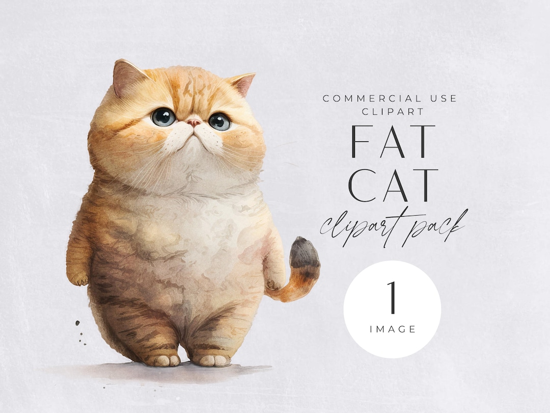 Fat Cat Clipart, | SINGLE IMAGE | Commercial License, Watercolor ...