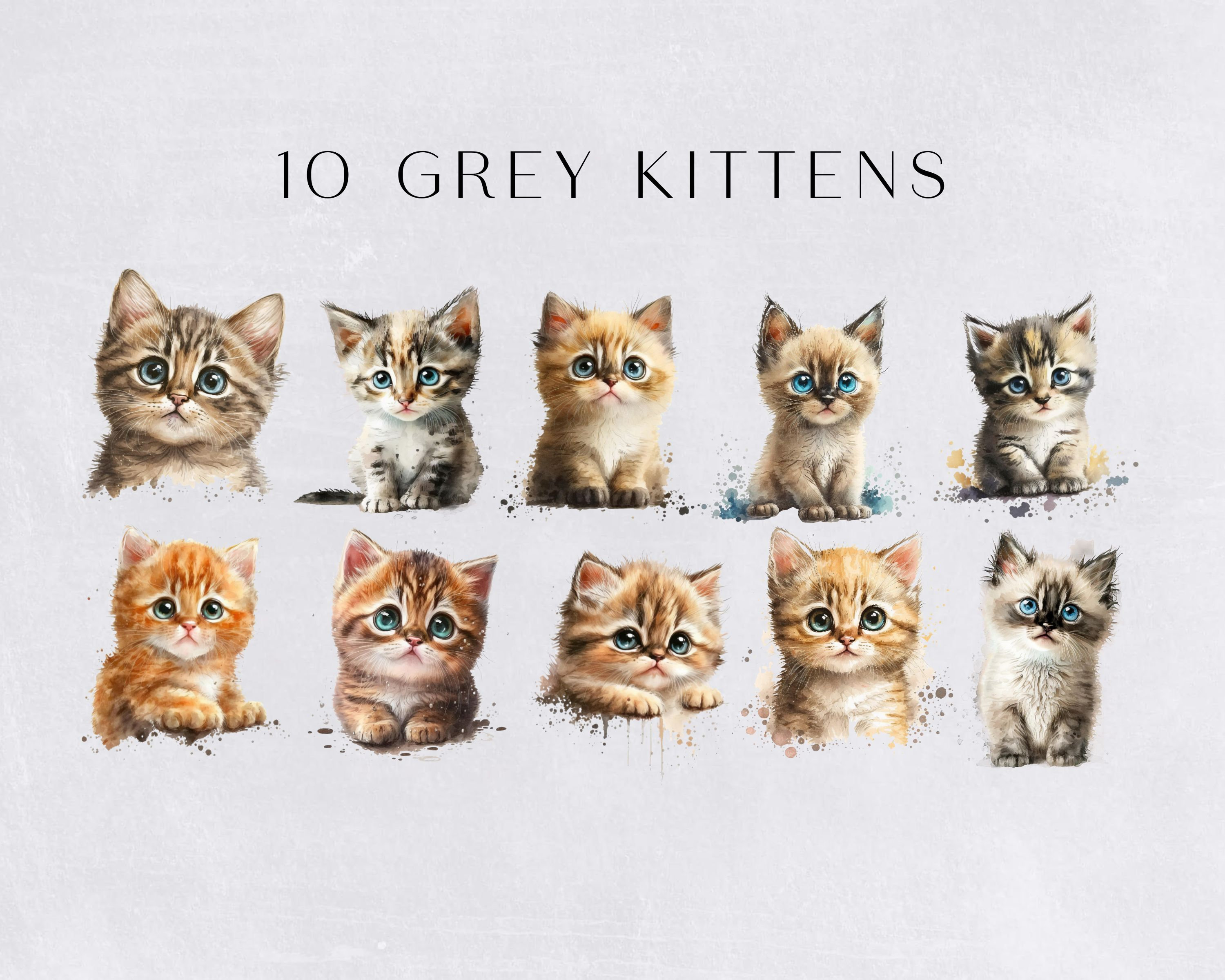 Grey Kittens Clipart Pack, Clip Art for Commercial Use, Transparent ...