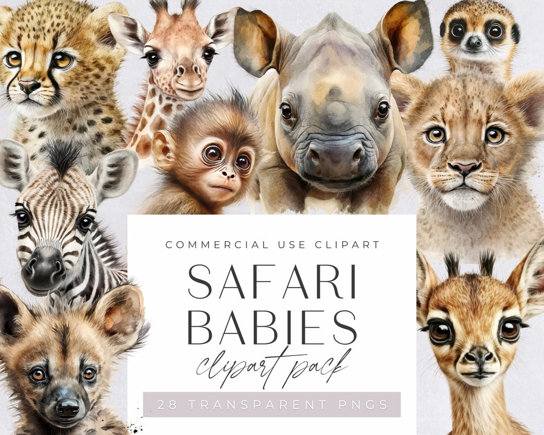 Safari Babies Clipart, Watercolor Animals, Clipart for Commercial Use ...