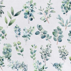 Watercolor Eucalyptus Leaves Clipart, Wreaths, Greenery, Green Foliage ...