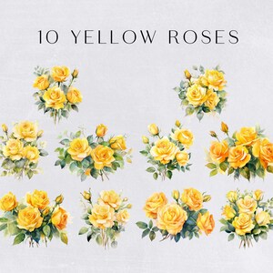 Yellow Roses Clipart Pack, Watercolor Rose, Summer Floral Bouquet for ...