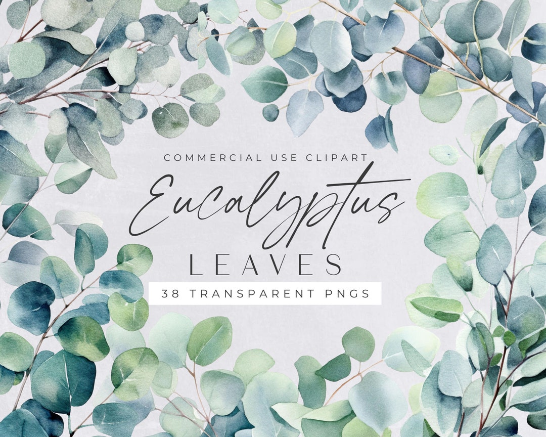 Watercolor Eucalyptus Leaves Clipart, Wreaths, Greenery, Green Foliage ...