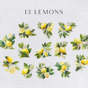Watercolor Lemons Clipart , Summer Clip Art for Commercial Use ...